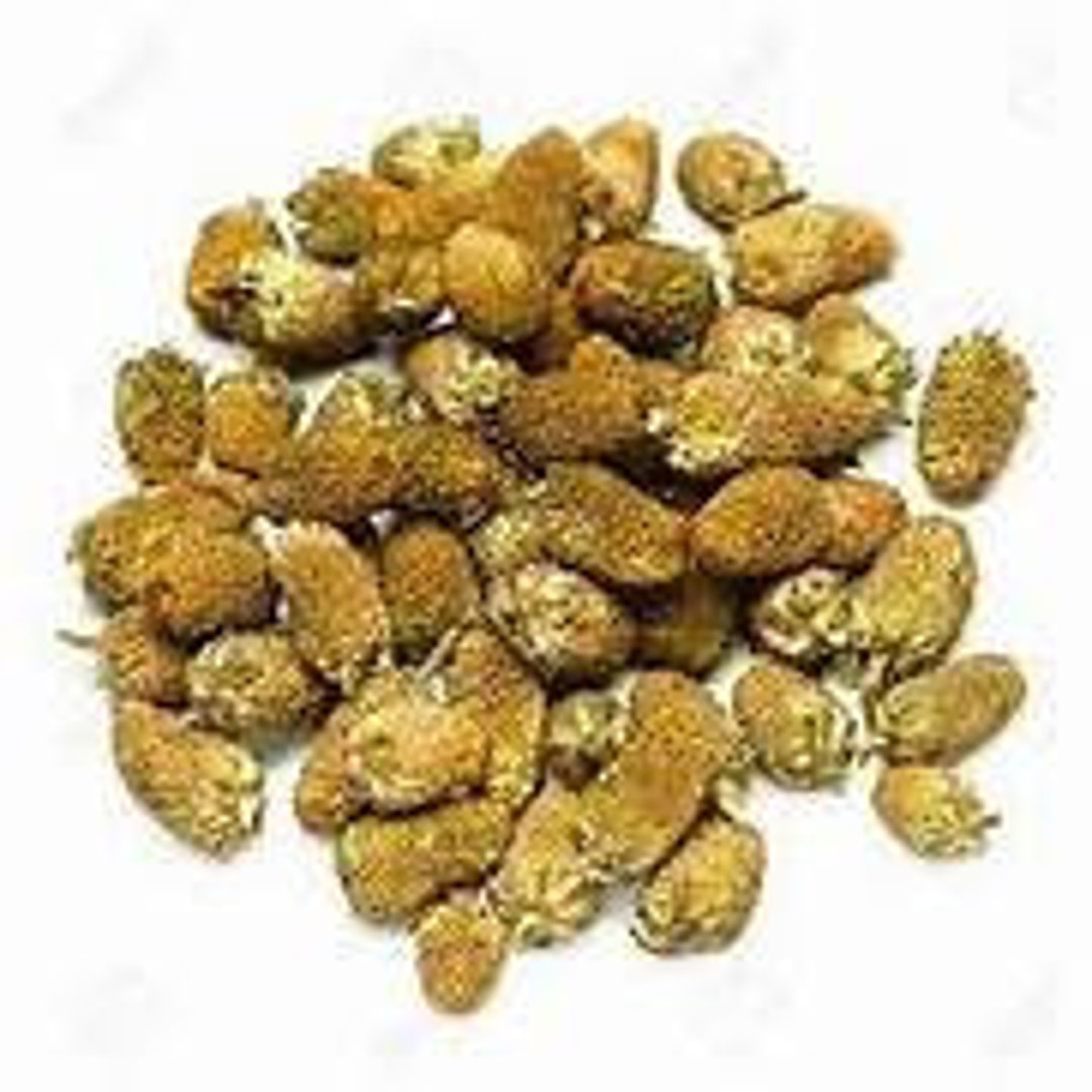 Akarkara Seeds Anacyclus Pyrethrum Seeds - Etsy