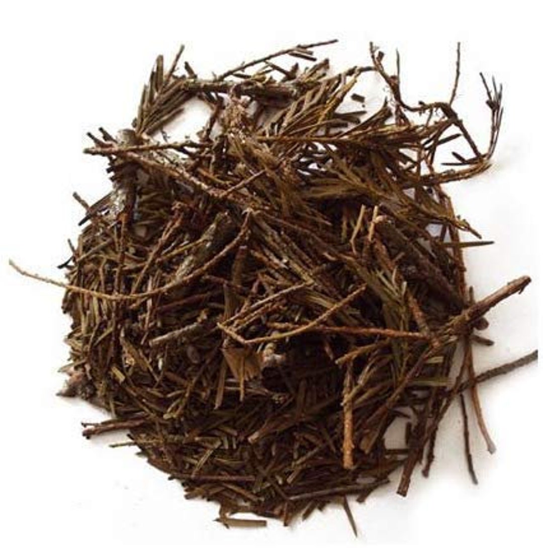 Alees Patra Talis Patra Taleesapatri abies Webbiana - Etsy