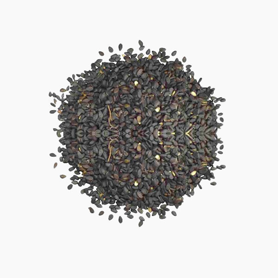 Banyan Fig, Banyan Tree, East Indian Fig Tree, Indian Banyan, Weeping ...