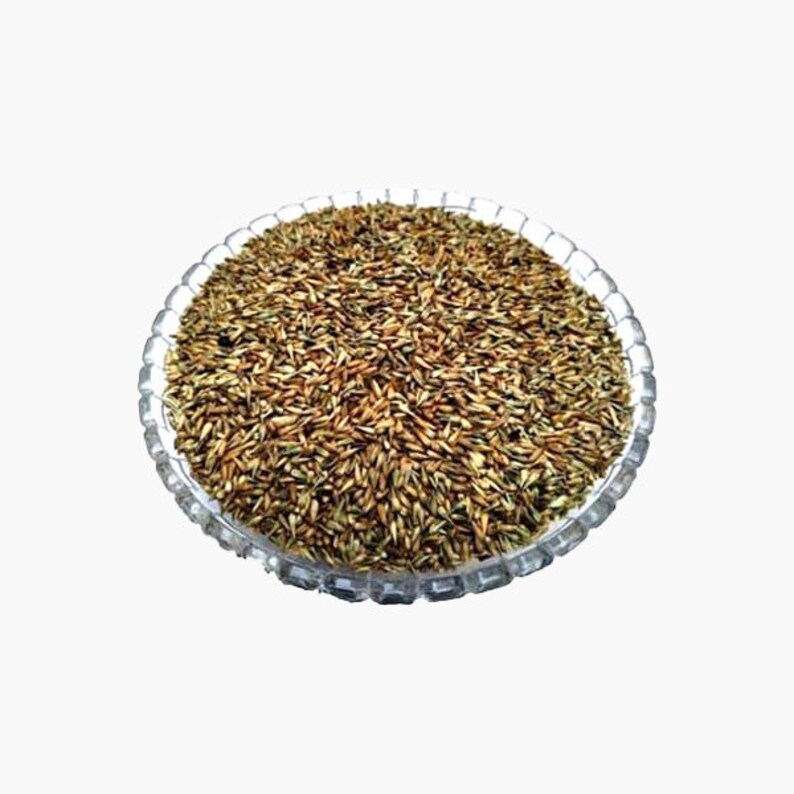 Apamarga Seed latjira Beej Chirchita Beej Prickly Chaff Flower Seed ...