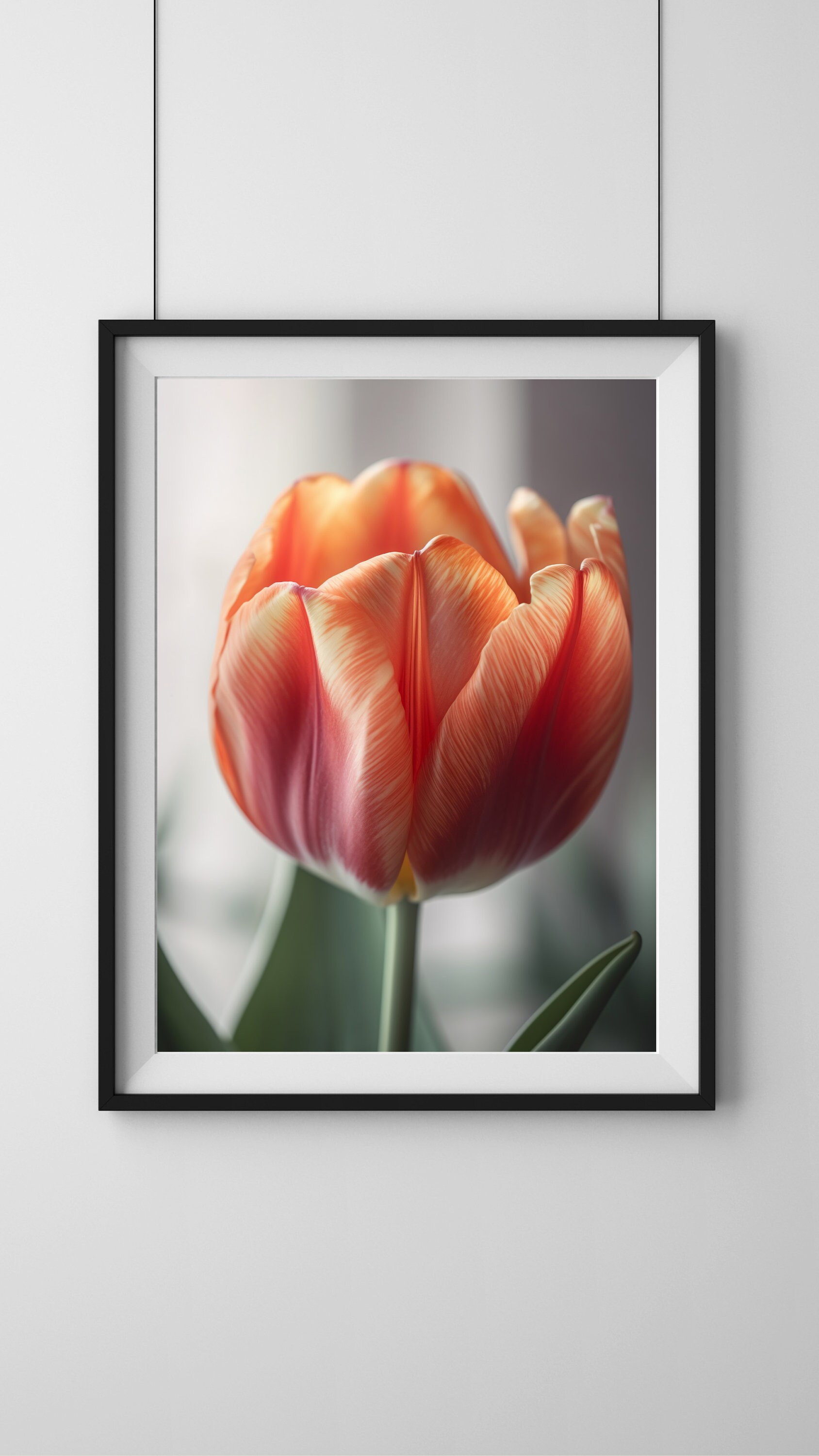 Wall Art Set of 3 Tulip Photographs, Printable Wall Art, Digital ...