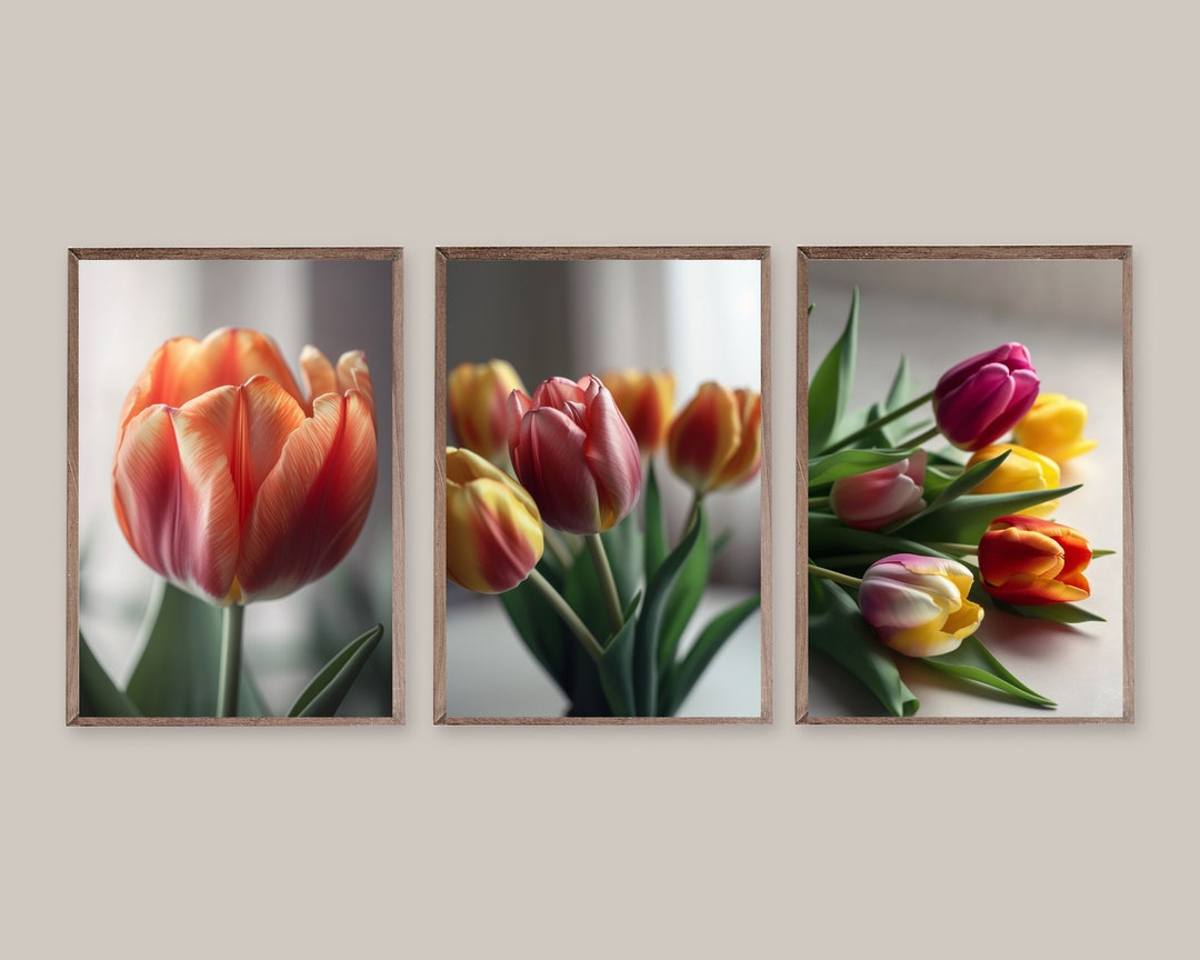 Wall Art Set of 3 Tulip Photographs, Printable Wall Art, Digital ...