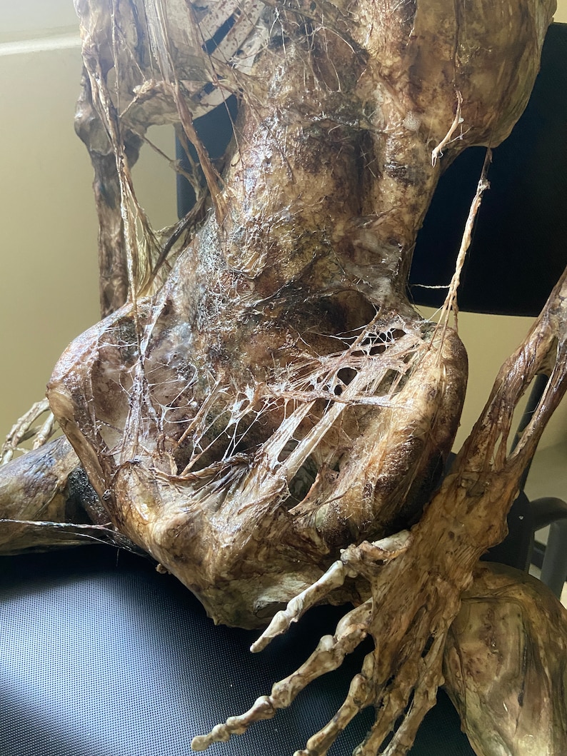 Realistic Human Corpse Lifesize Body Horro Prop Mummified Skeleton for ...