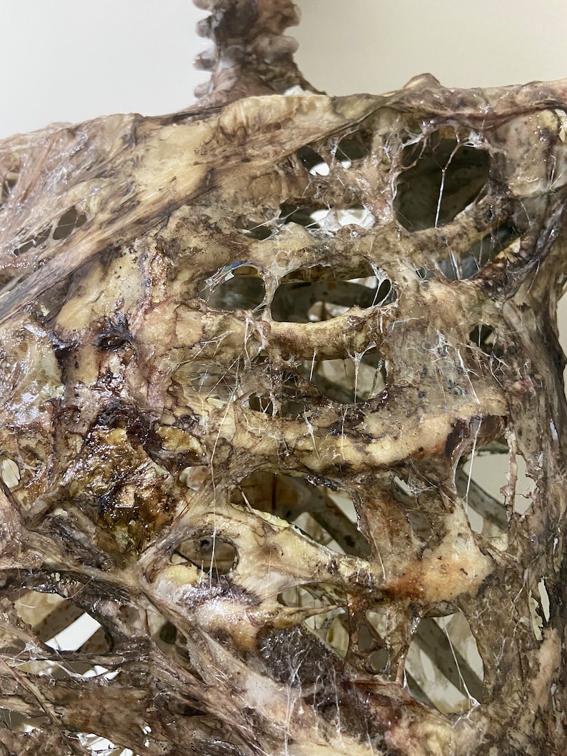 Realistic Human Corpse Lifesize Body Horro Prop Mummified Skeleton for ...