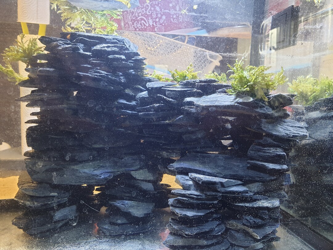 Overgrown Slate Cave System for the Aquarium - Etsy
