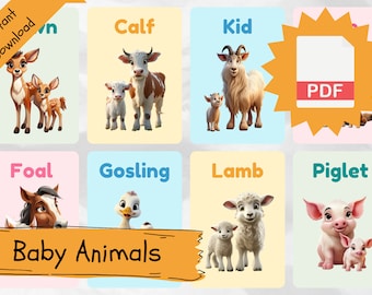 Baby Animal Flashcards, Printable Flashcards, Flash Cards, Montessori ...