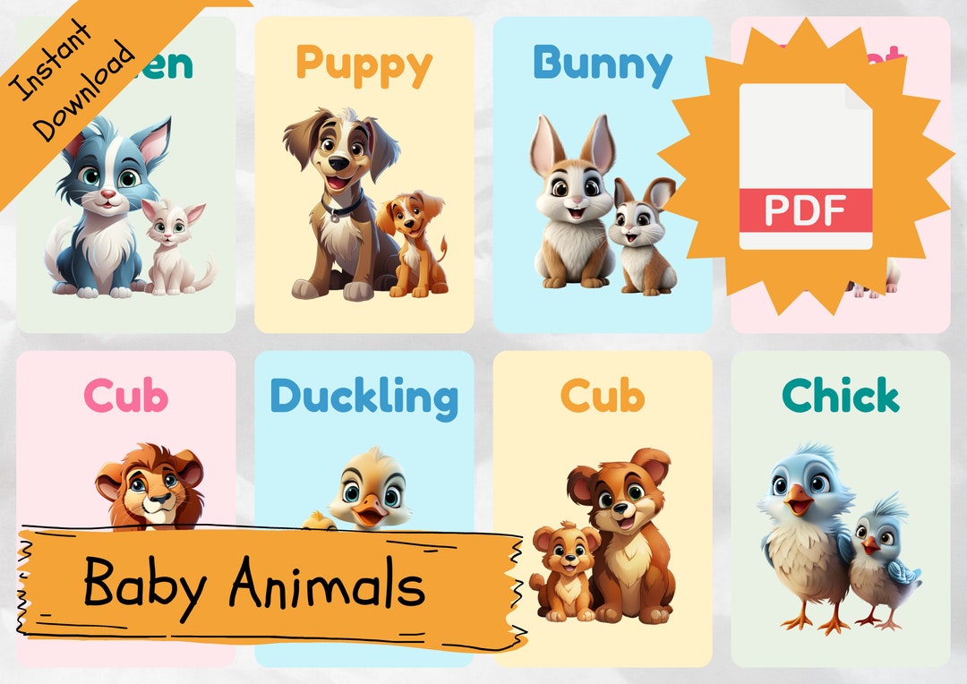 Baby Animal Flashcards, Printable Flashcards, Flash Cards, Montessori ...