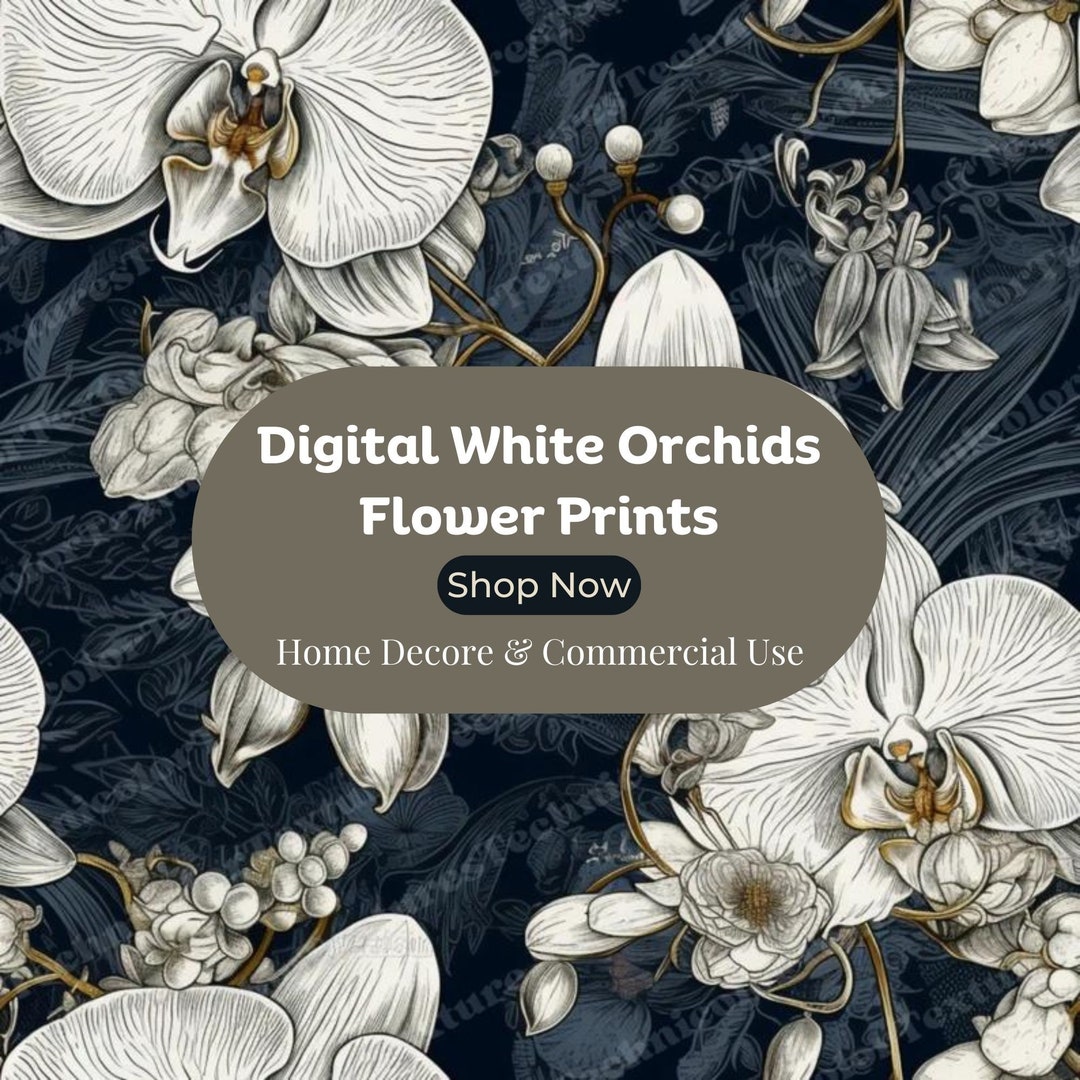 Digital White Orchids Flower Prints - Printable Botanical Prints ...