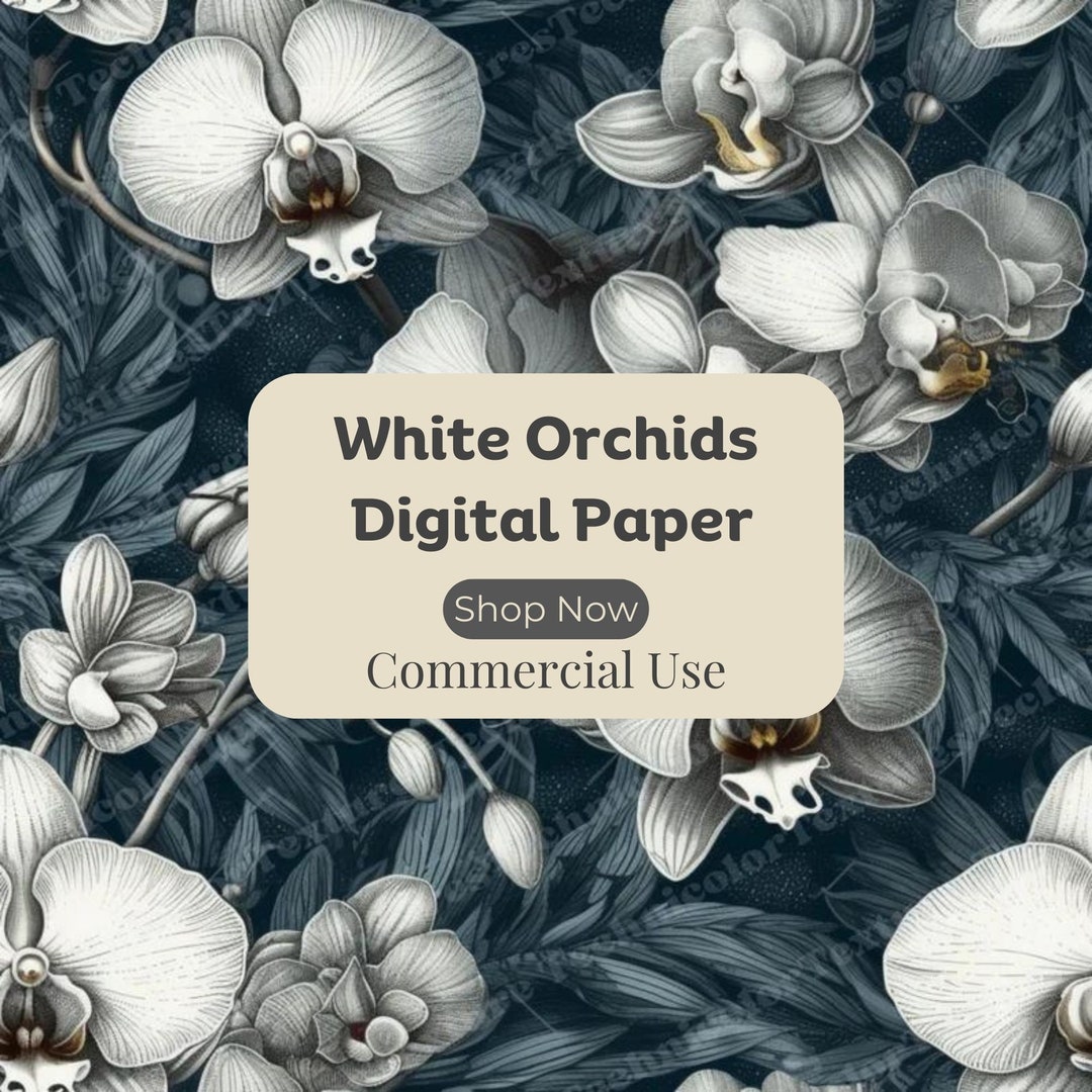 White Orchids Flower Digital Paper - Antique Floral Background PNG ...