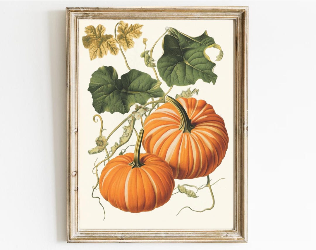 Vintage Botanical Pumpkins, Autumn, Fall Decor, Halloween Decor ...