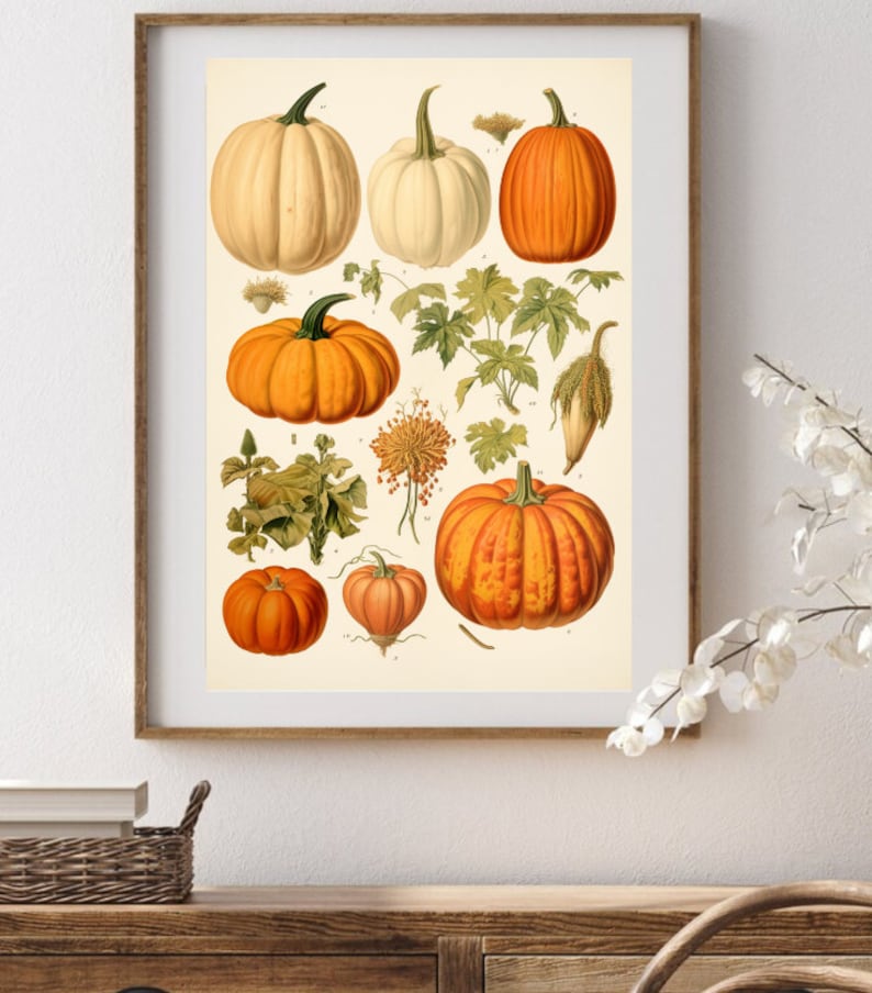 Vintage Botanical Wall Chart Pumpkins Autumn Fall Decor - Etsy