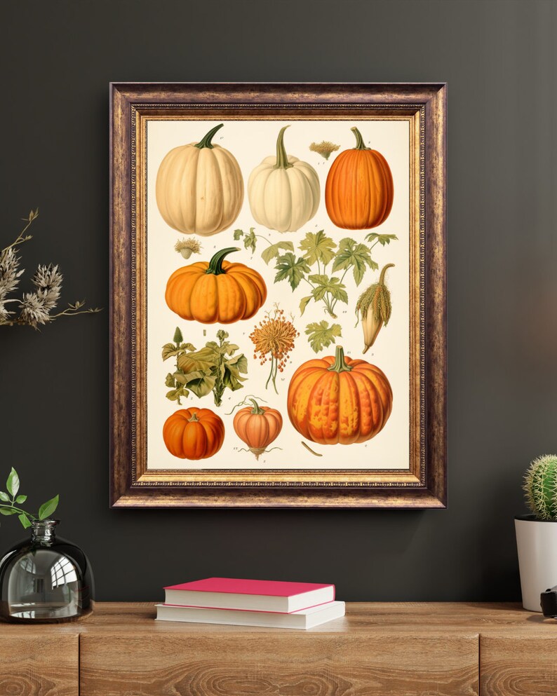 Vintage Botanical Wall Chart Pumpkins Autumn Fall Decor - Etsy
