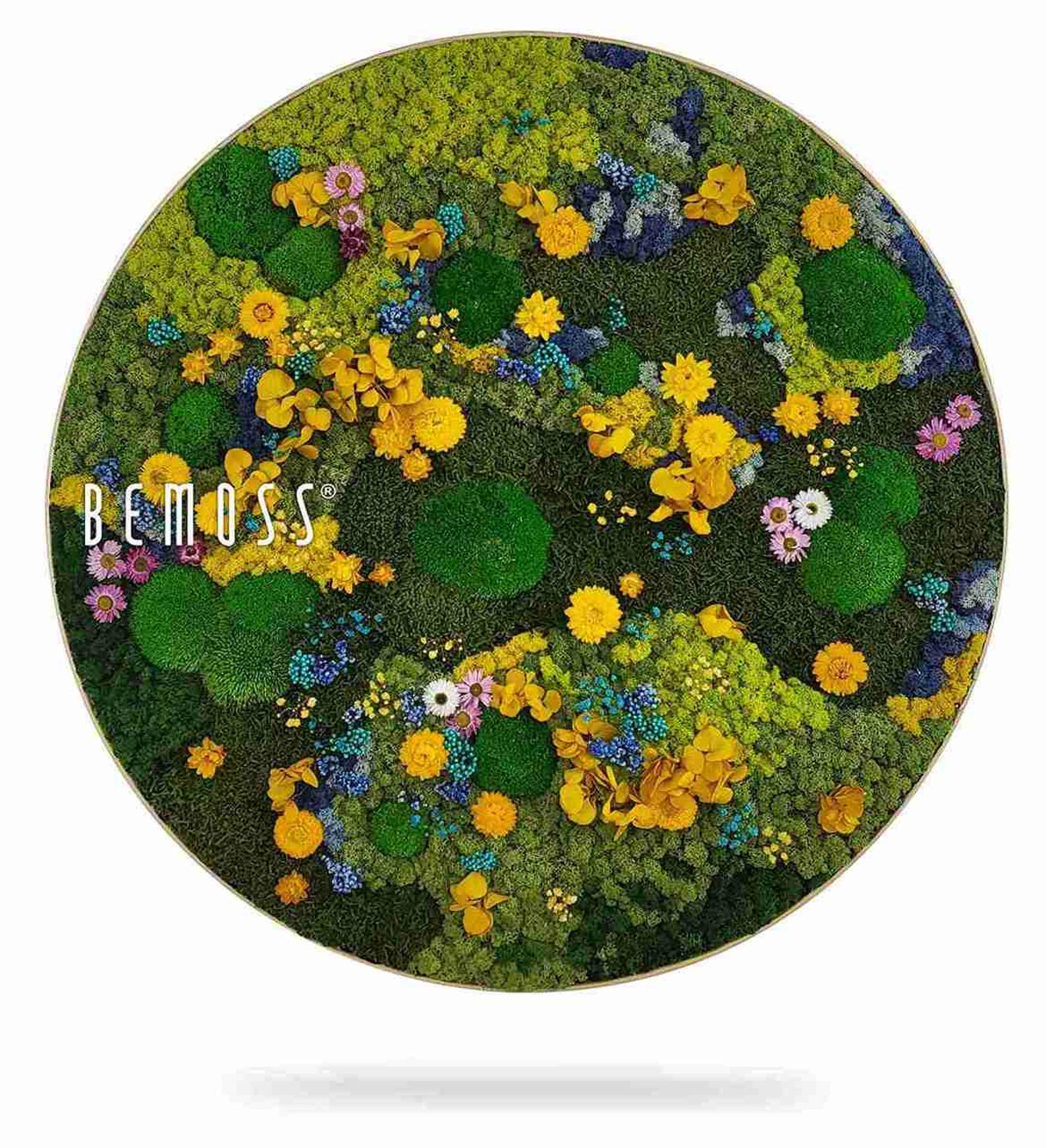 Moss Art - BEMOSS® Circle - ORTHO Torres - Etsy