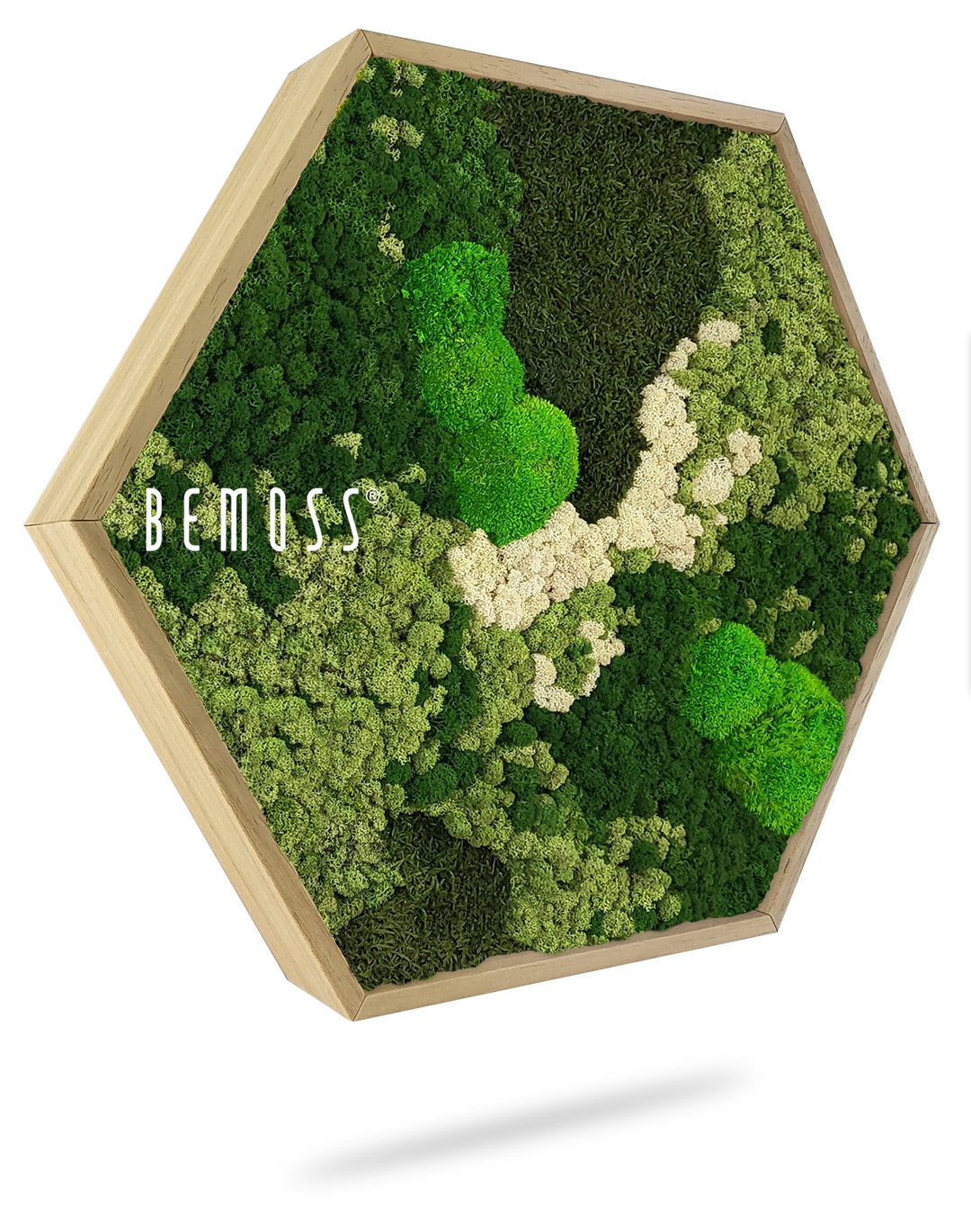 Moss Art - BEMOSS® - HEXAGON - Ortho , Natural Green - Etsy