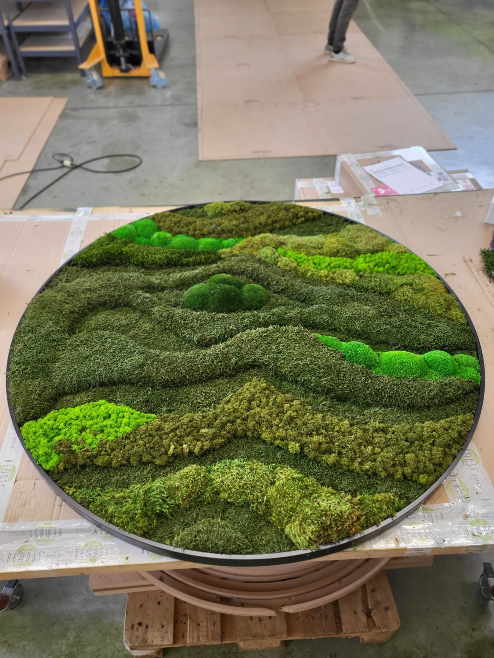 Moss Art - BEMOSS® - Moss Circle ORTHO Tocon - Etsy