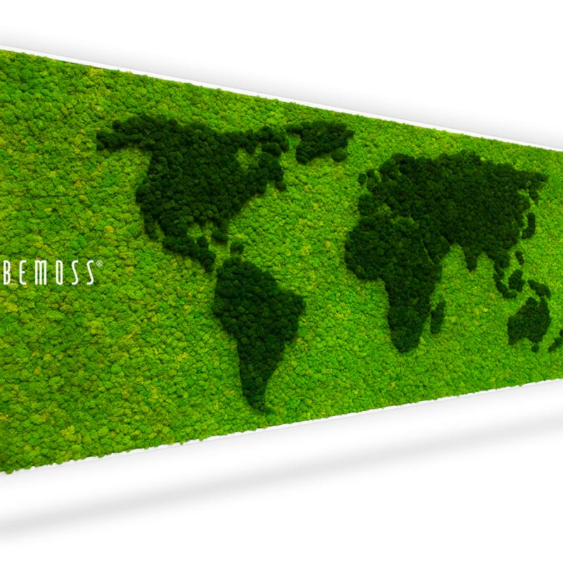 Moss Map - Etsy