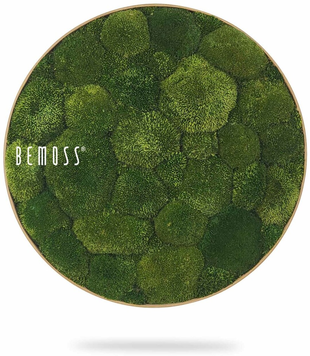 Moss Art - BEMOSS® - Circle - Bolmoss , Natural Green - Etsy