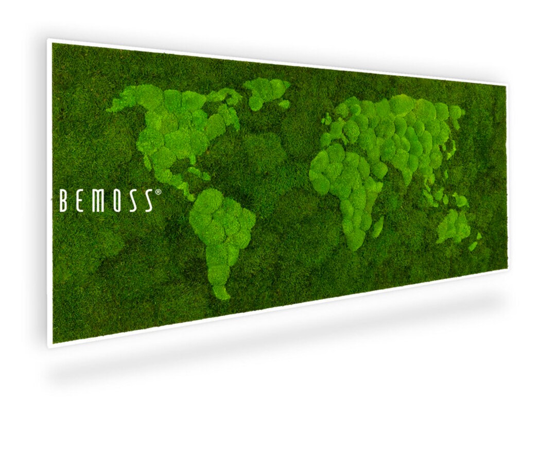 Moss Picture World Map Flatmoss&bolmoss 70x32 Inch - BEMOSS - Etsy