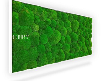 Moss Tile Self Adhesive Moss Wall Decor Preserved Moss Stabilised Moss ...