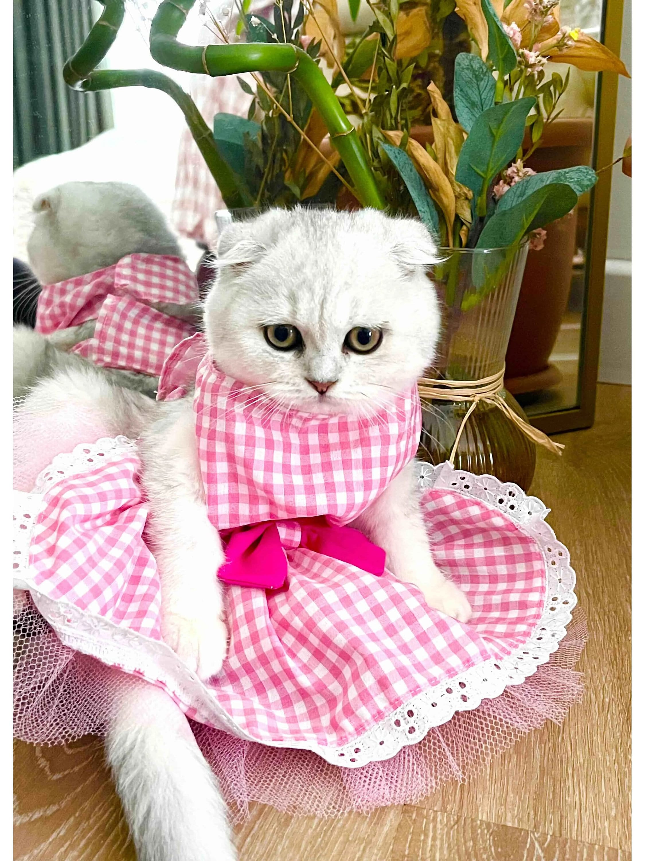 Pink Plaid Cat Outfit With Ribbon Detailed, Fancy Cat - Dog Clothing ...