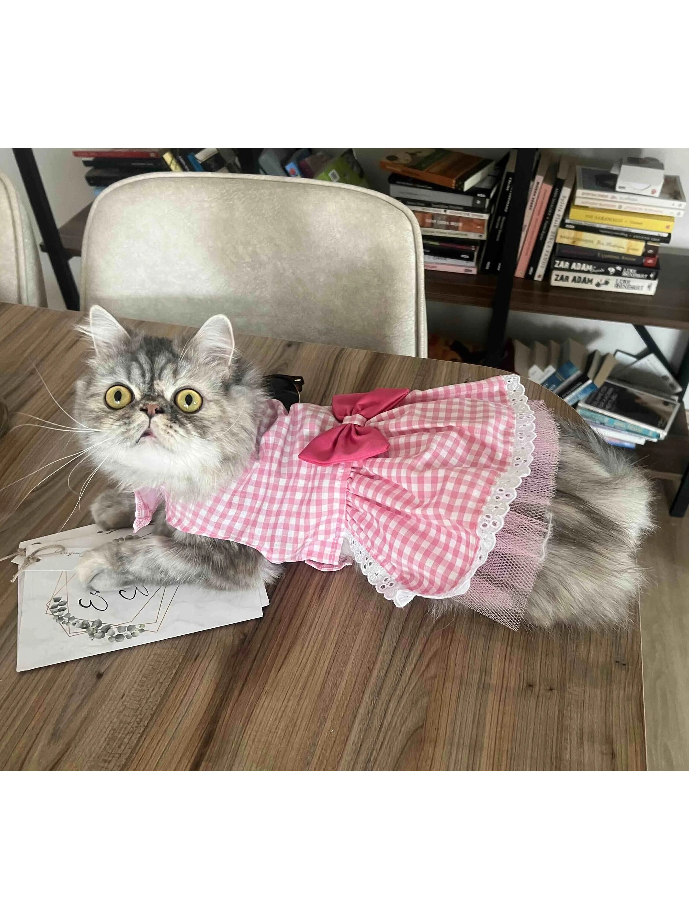 Pink Plaid Cat Outfit With Ribbon Detailed, Fancy Cat - Dog Clothing ...