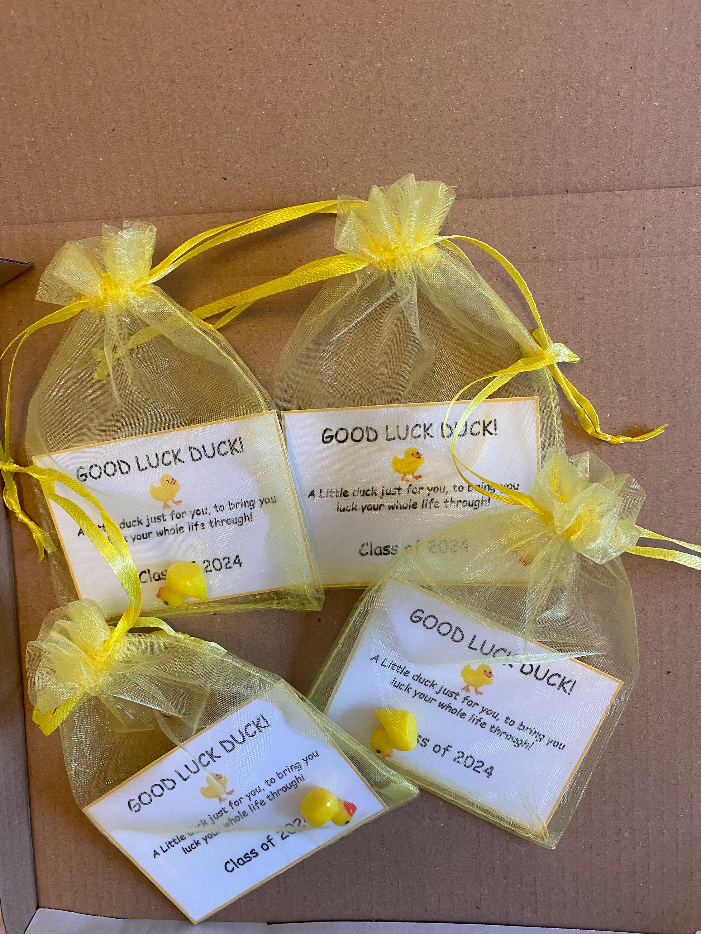 Class of 2024 Good Luck Duck or Just Good Luck Duck Without Class of ...