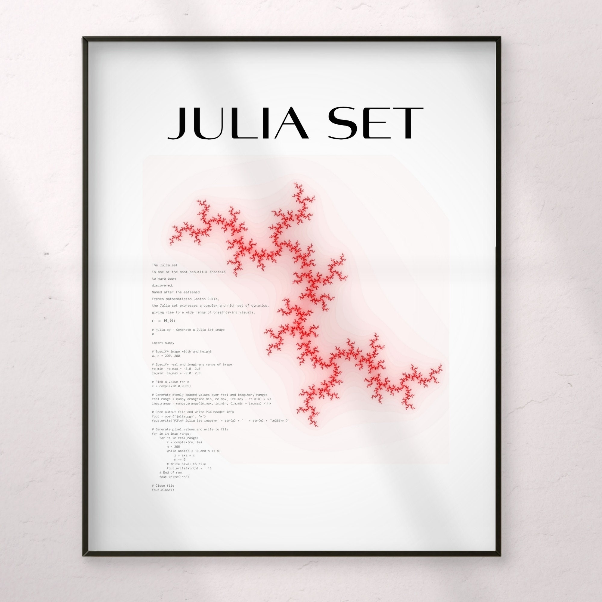Fractals Julia Set Poster With Its Own Python Code Workspace T For Programmer Etsy