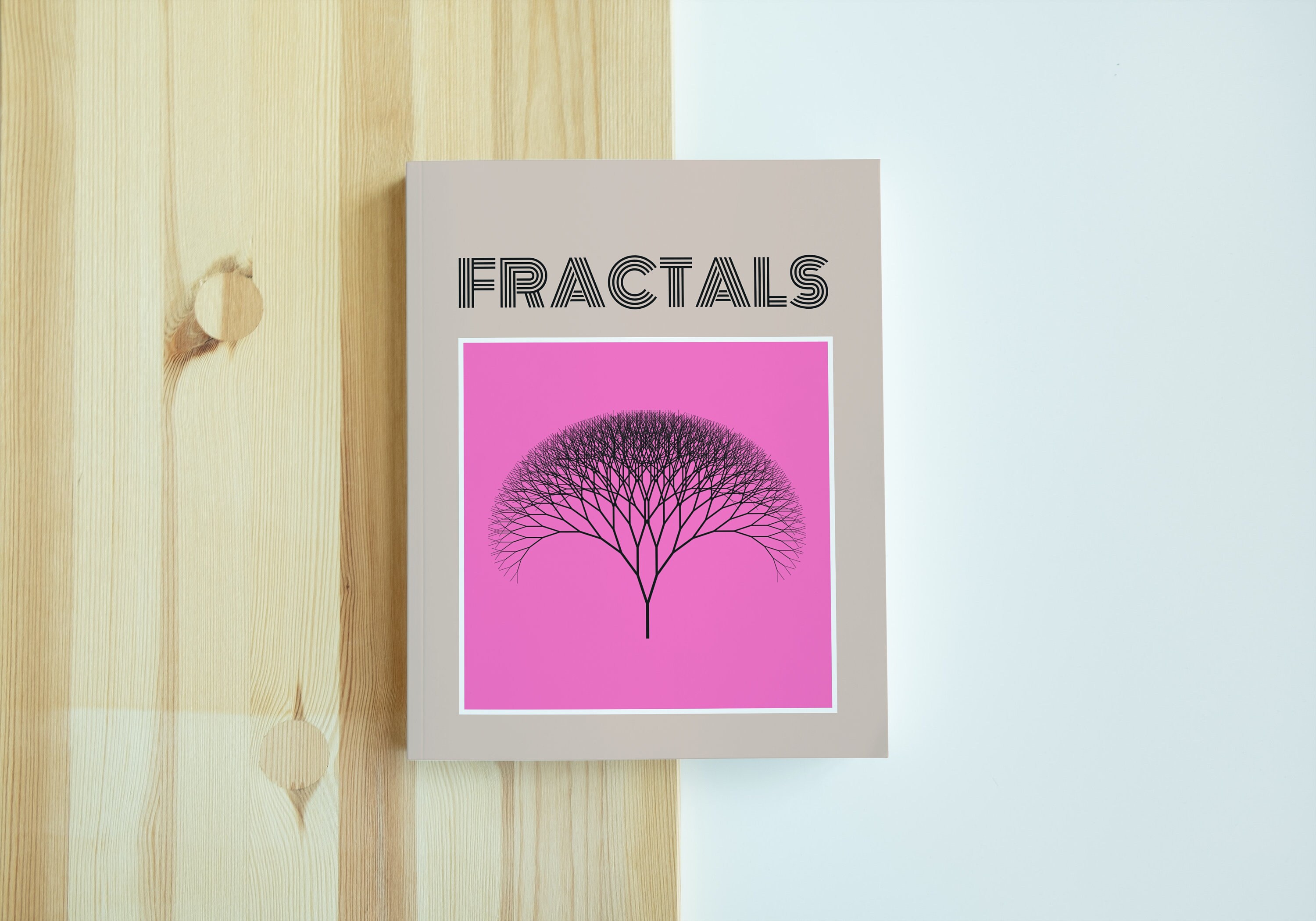 Printable Fractals Math Class Poster, Funny Mathematics Classroom Wall ...