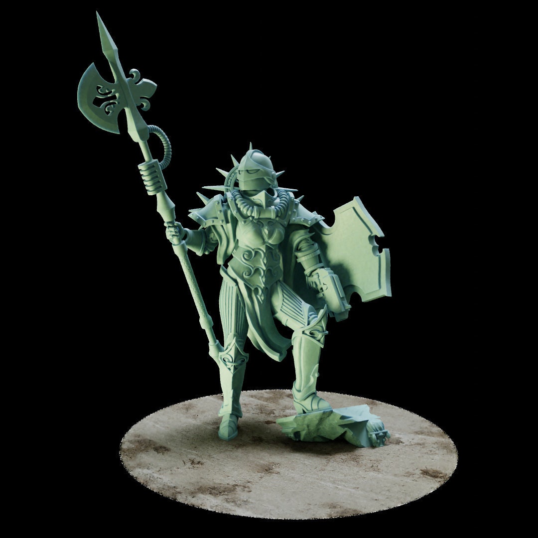 Shield Nun Tabletop / Pathfinder / Dungeons & Dragons Dnd / Fantasy ...