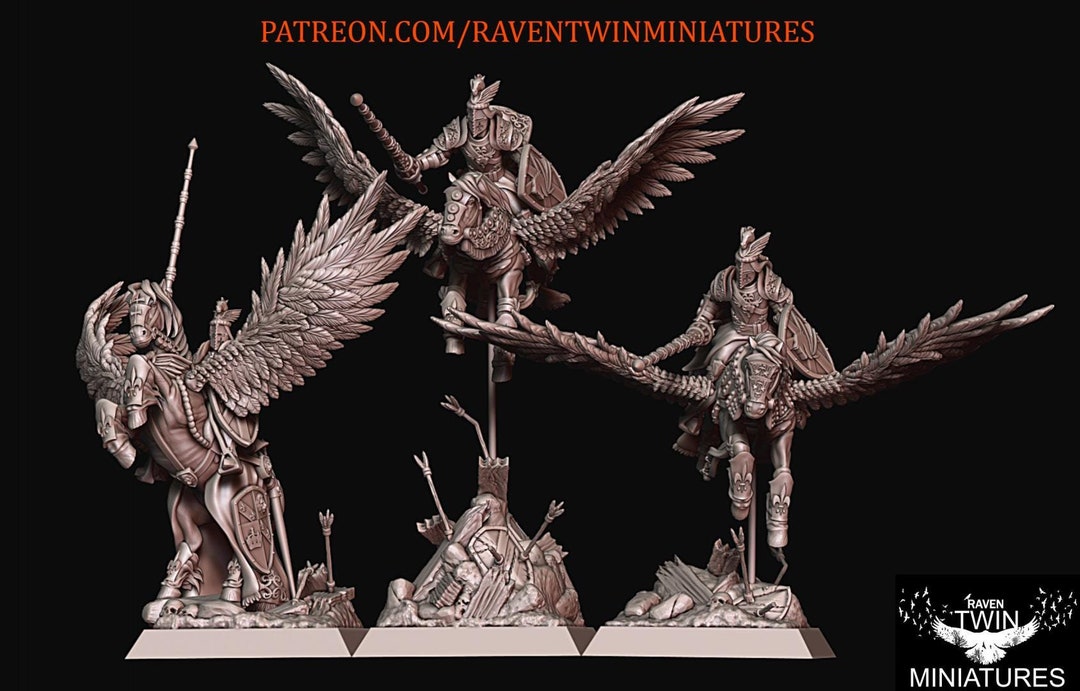Pegasus Knights - Raven Twin Miniatures - Tabletop / Pathfinder ...
