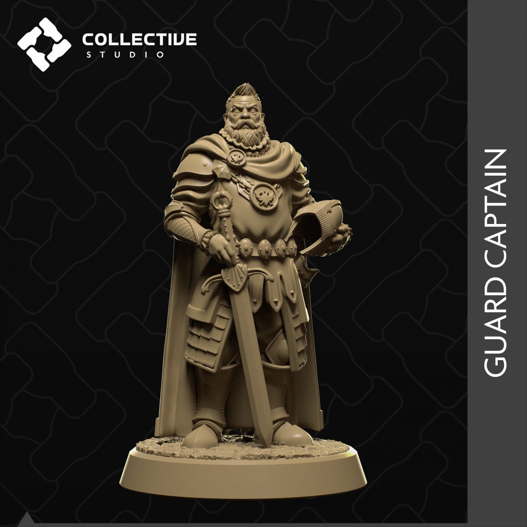 Guard Captain - Tabletop / Pathfinder / Dungeons & Dragons Dnd ...