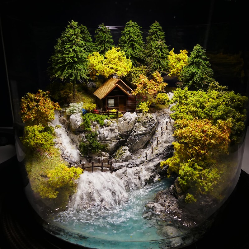 Nature Diorama - Etsy