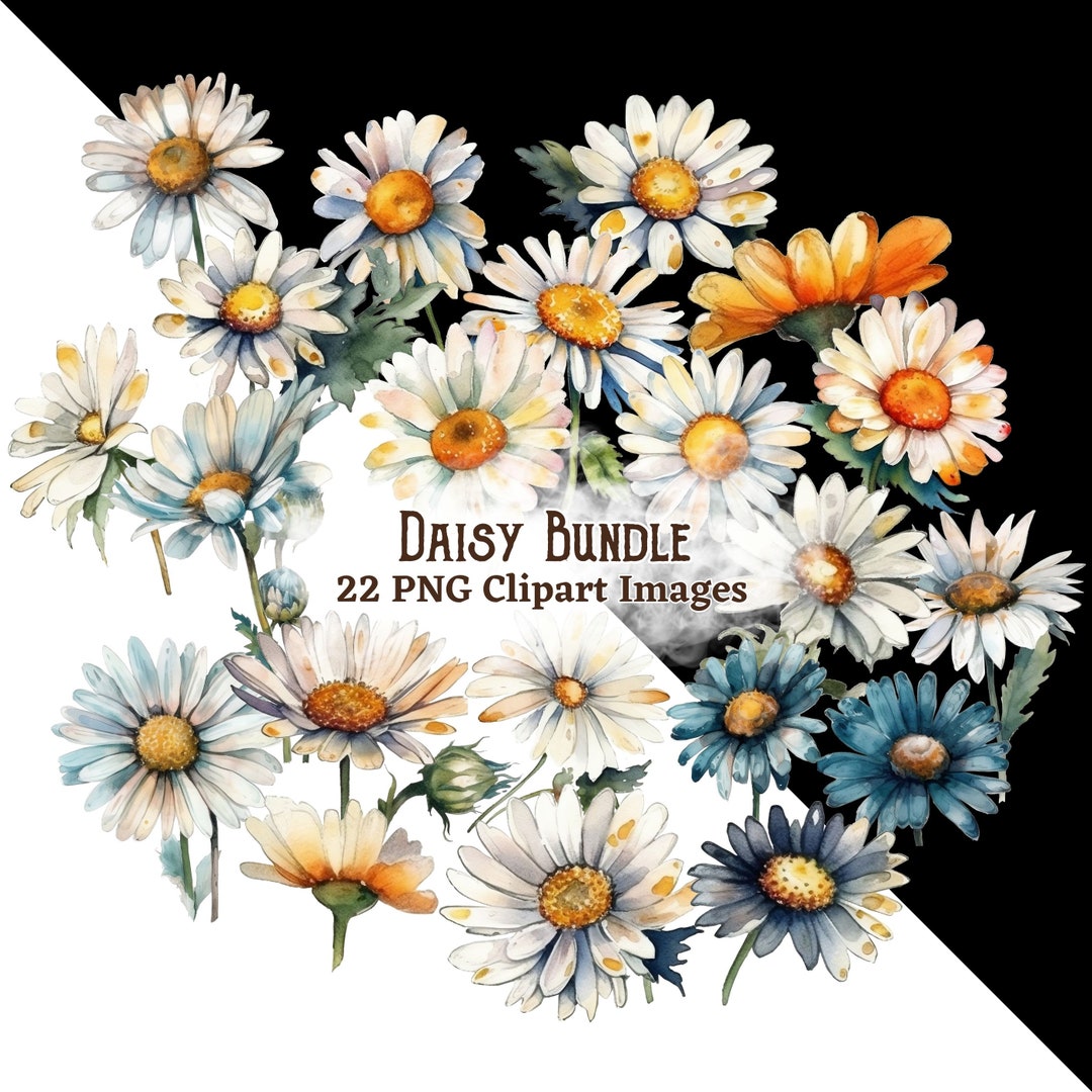 Digital Clipart Set Printable Stickers Watercolor Daisy Sticks Set 22 ...