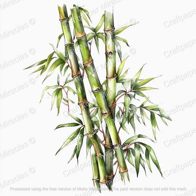 Digital Clipart Set Printable Stickers Watercolor Bamboo Sticks Set 3 ...