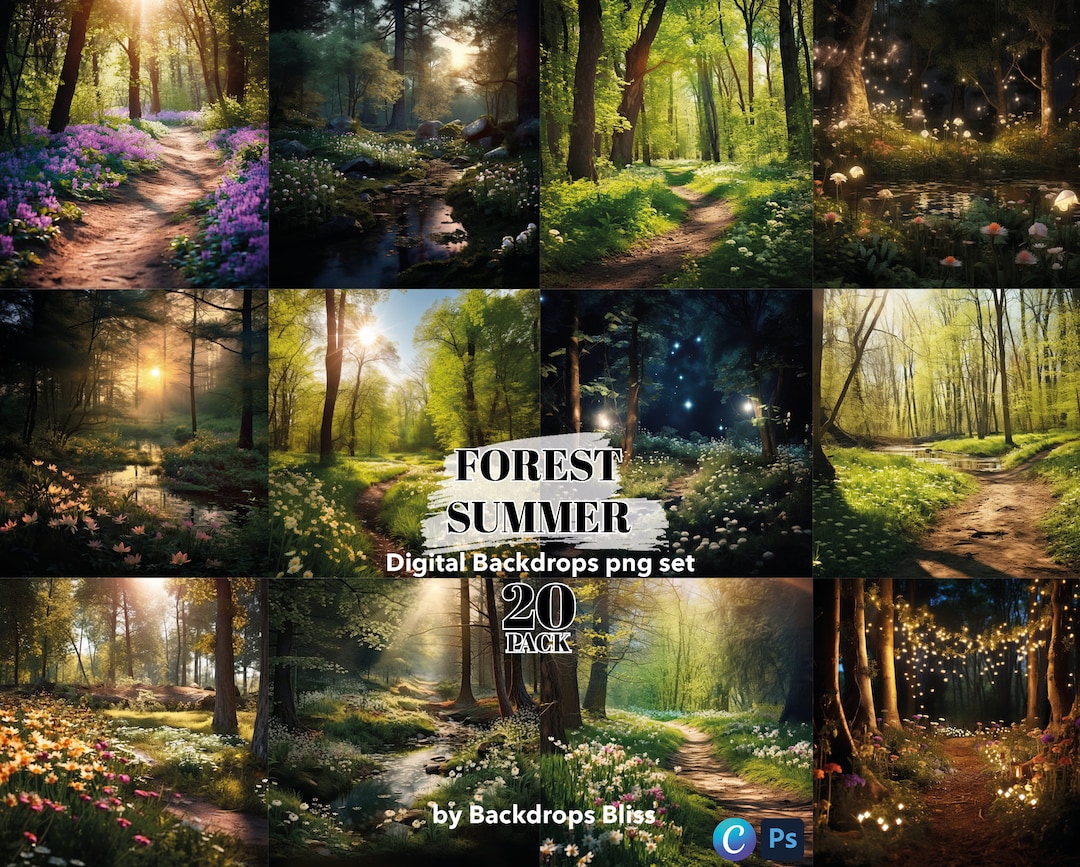 Png Overlays Forest Background Png Greenery Backdrop Enchanted Forest ...