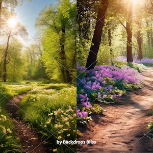 Png Overlays Forest Background Png Greenery Backdrop Enchanted Forest ...