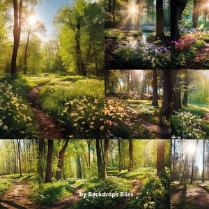 Png Overlays Forest Background Png Greenery Backdrop Enchanted Forest ...