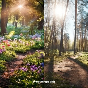 Png Overlays Forest Background Png Greenery Backdrop Enchanted Forest ...