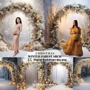 Maternity Digital Backdrop Christmas Digital Backdrop Floral Arch ...