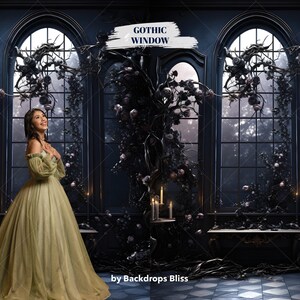 10x Digital Gothic Window Art Backdrop, Studio Floral Backgrounds ...