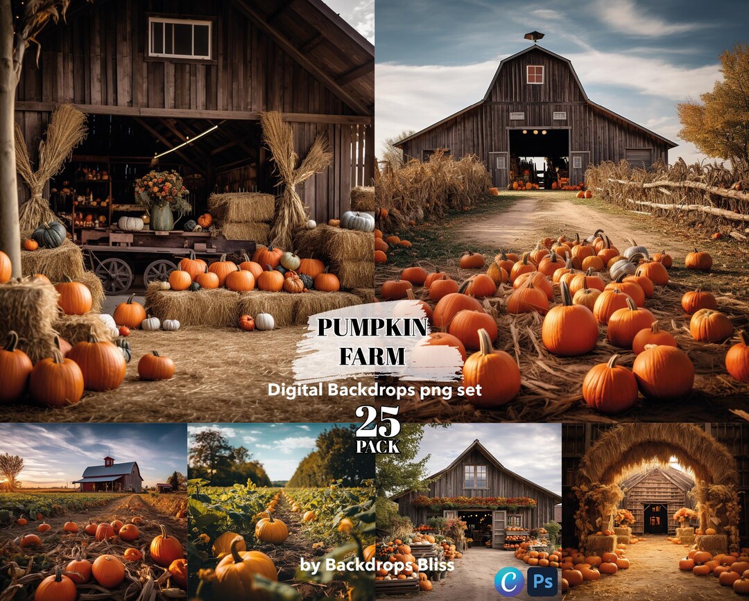 Fall Png Trendy Halloween Backdrop for Kid Fall Halloween Png Bundle ...