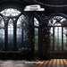 Halloween Digital Backdrop Gothic Maternity Digital Backdrop Floral ...