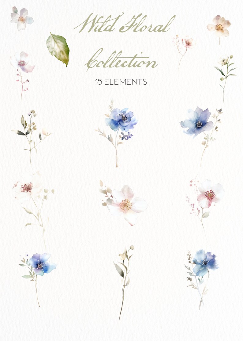 Wild Floral Clipart Watercolor Wild Flowers Floral Clipart - Etsy