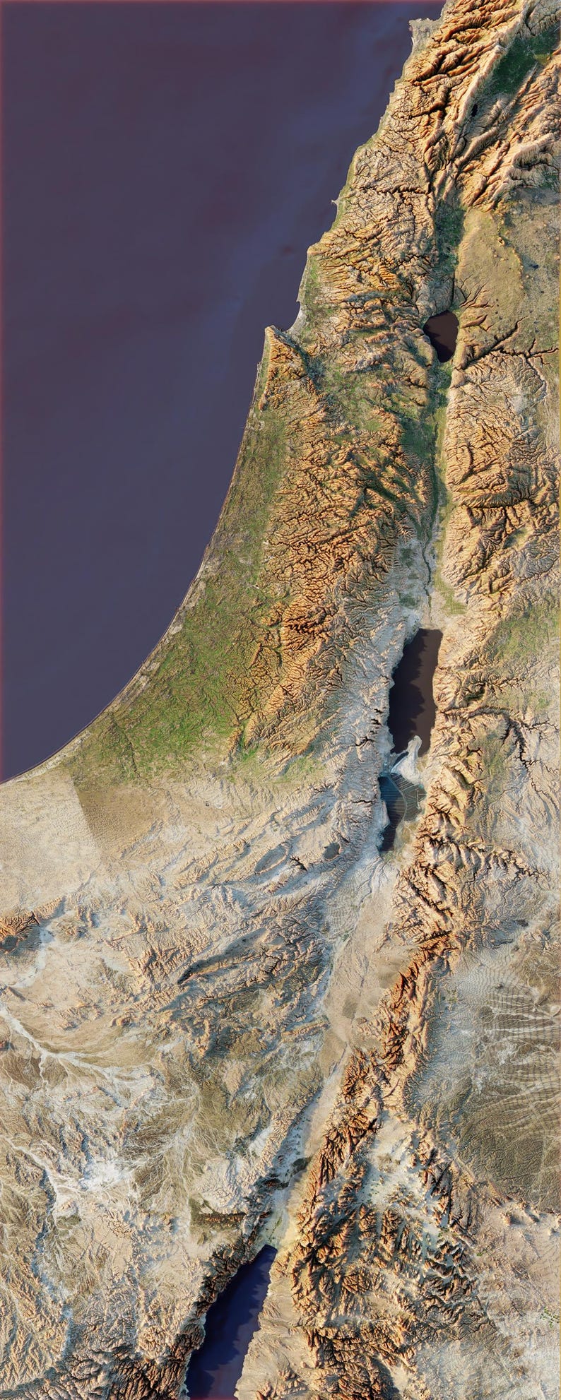 Israel 3D Topography Elevation Map - 3D Render - Digital Art - Etsy Israel