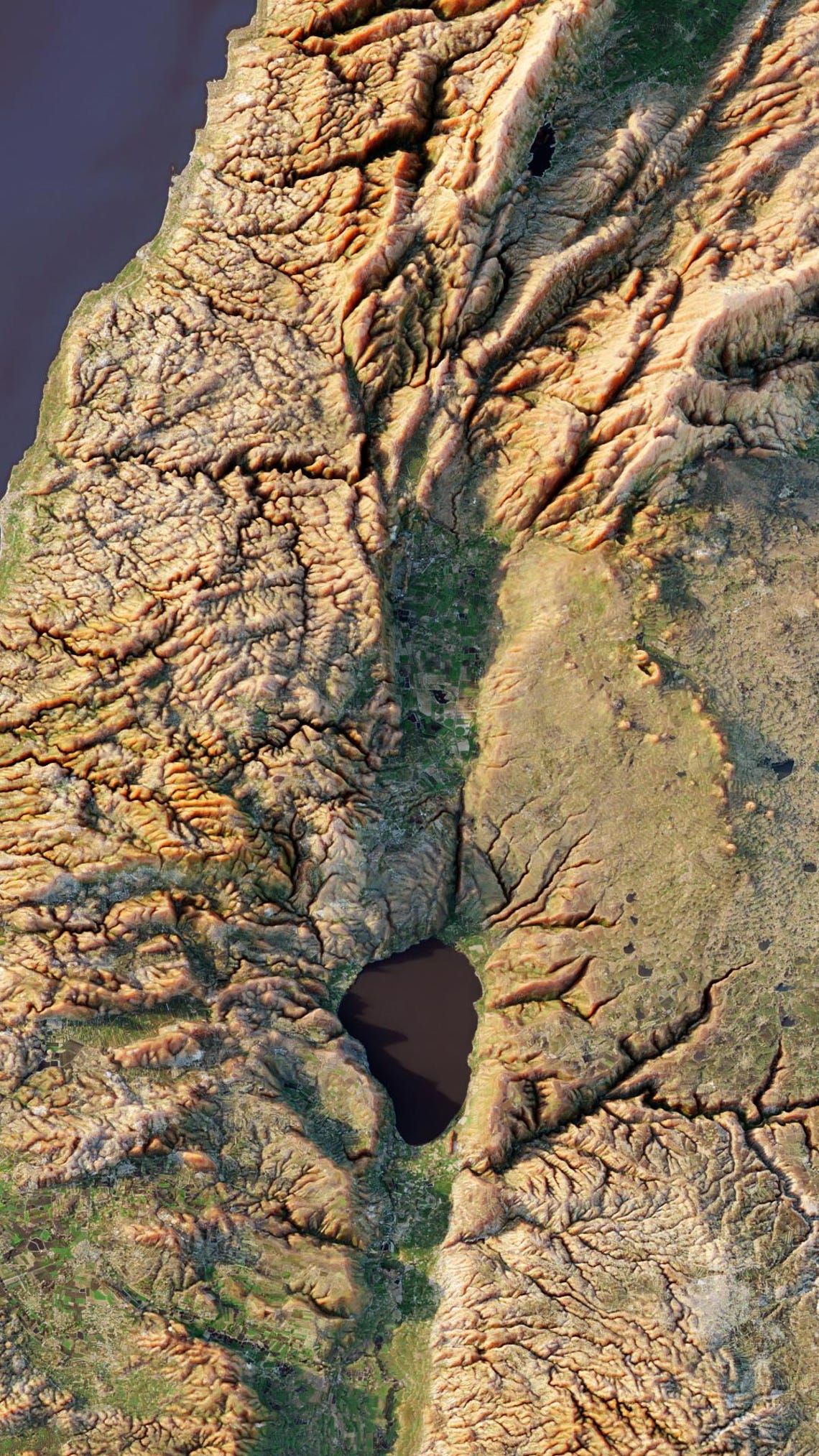 Israel 3D Topography Elevation Map - 3D Render - Digital Art - Etsy Israel