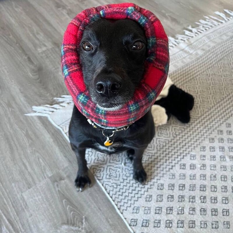 Shoes With Sound - Etsy UK