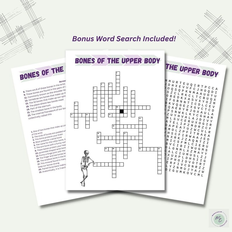 Bones of the Body Anatomy Crossword and Searchword + Answers - Digital ...