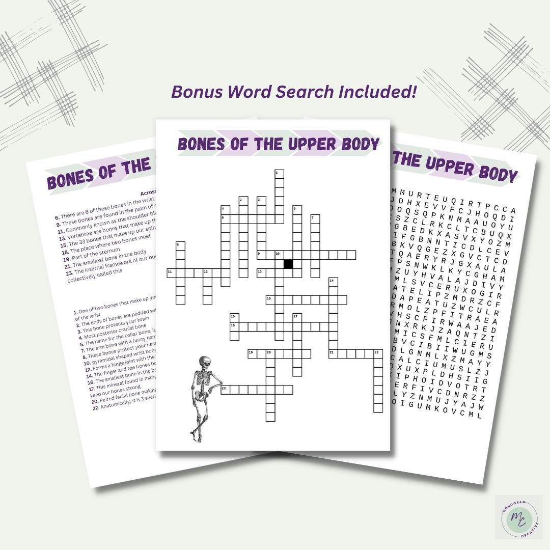 Bones of the Body Anatomy Crossword and Searchword + Answers - Digital ...