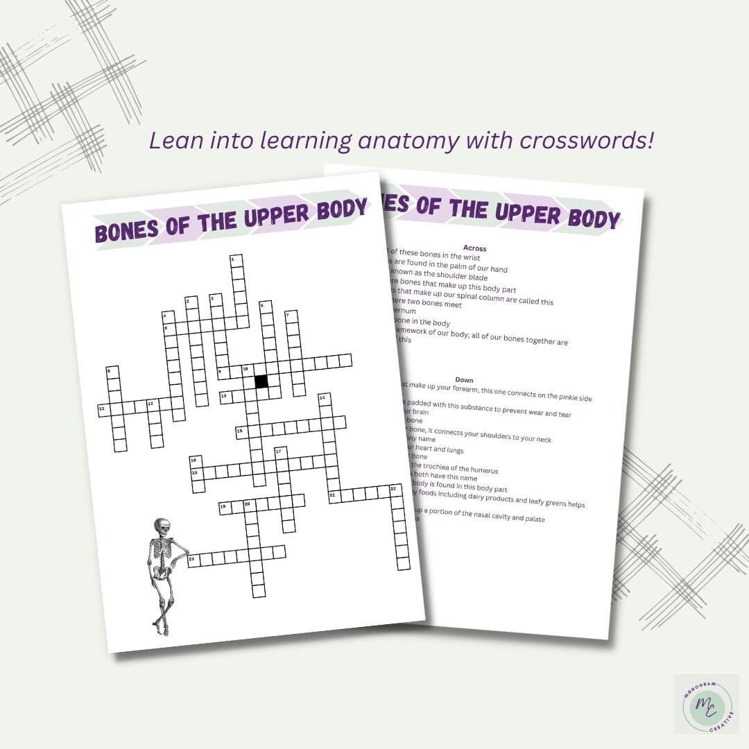 Bones of the Body Anatomy Crossword and Searchword + Answers - Digital ...