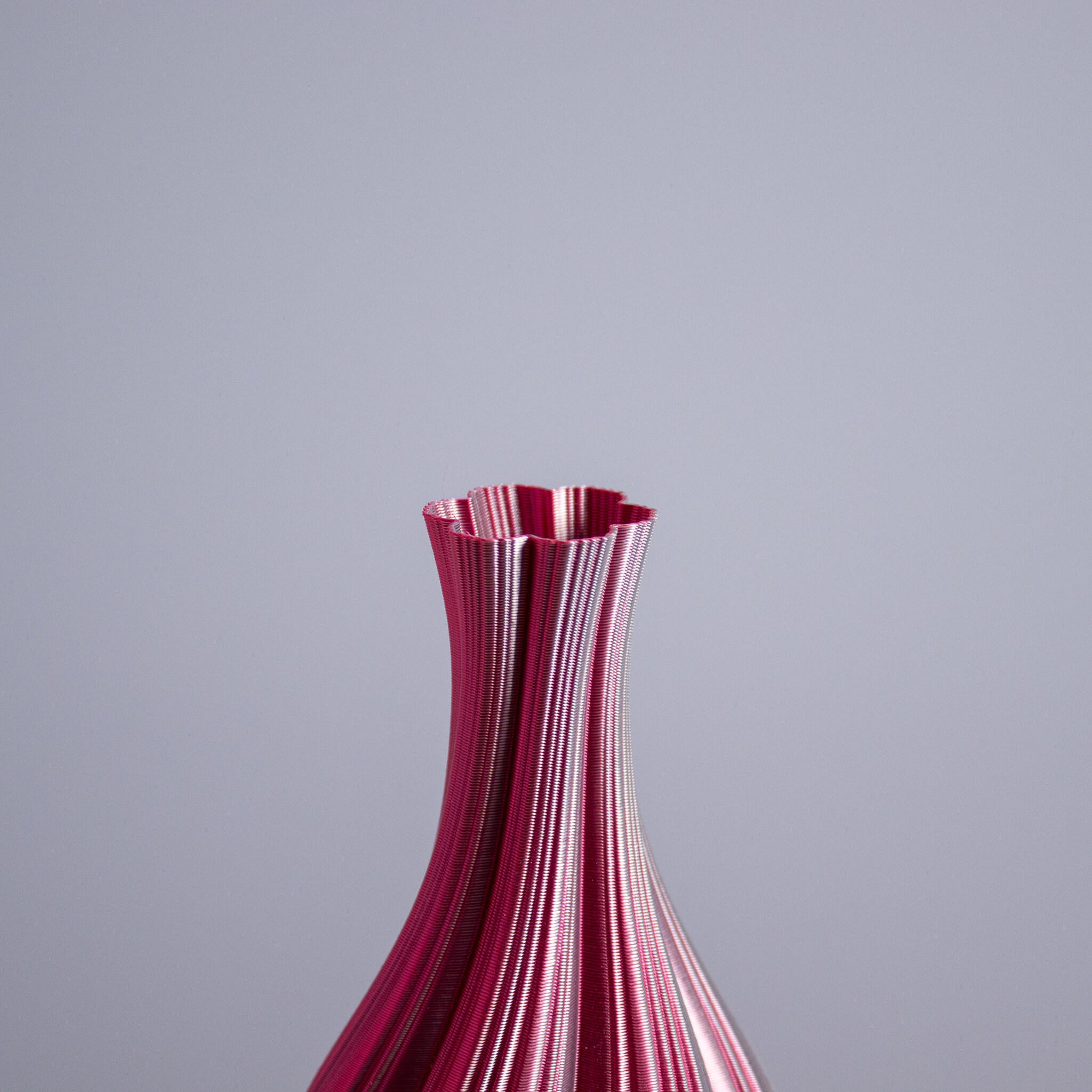 Sprout Vase STL File 3D Print Model for Vase Mode 3D Printing - Etsy Canada